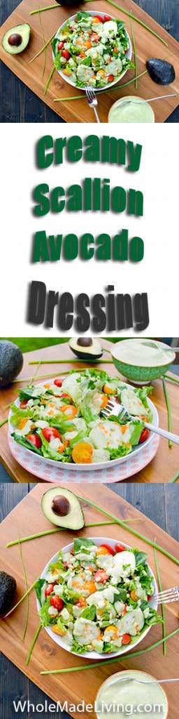 Creamy Scallion Avocado Dressing - Whole Made Living