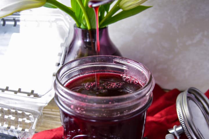 Blackberry Simple Syrup (How to Make it Quick & Easy) - Whole Made Living