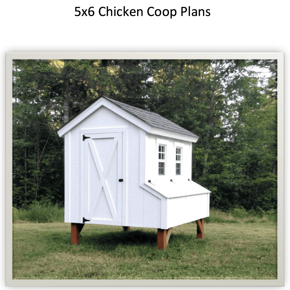 Simple Chicken Coop Diy